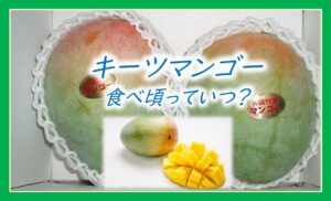 幻の巨果 キーツマンゴーの味や食べ頃！美味しい食べ方をご紹介！ | おきなわしあわせブログ